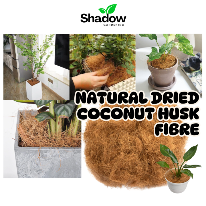 【Shadow Gardening】Natural Dried Coconut Husk Fibre Organic Coconut ...