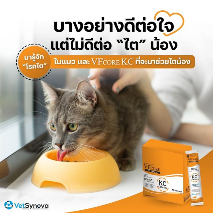 VF core : KC อาหารเสริมแมว บำรุงไต ขนมแมวเลีย สูตรสีส้ม แมวโรคไต ทาน ...