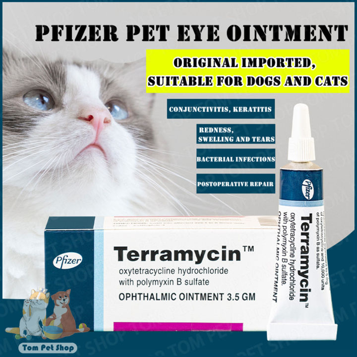 Terramycin 3.5g Ophthalmic Ointment Conjunctiva for Pets | Lazada PH