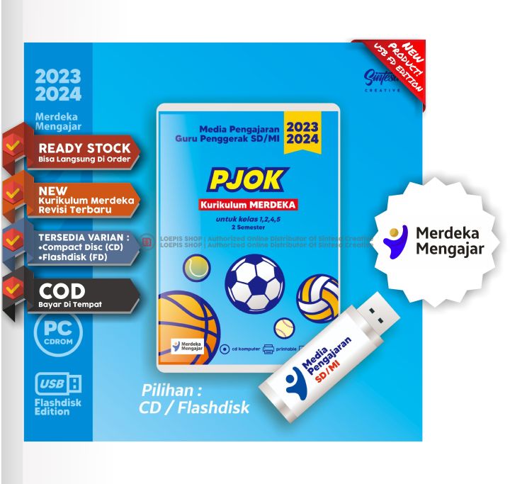 CD/FLASHDISK RPP MODUL AJAR KURIKULUM MERDEKA SD/MI PJOK KELAS 1245 REVISI TERBARU TA 2023-2024 ...