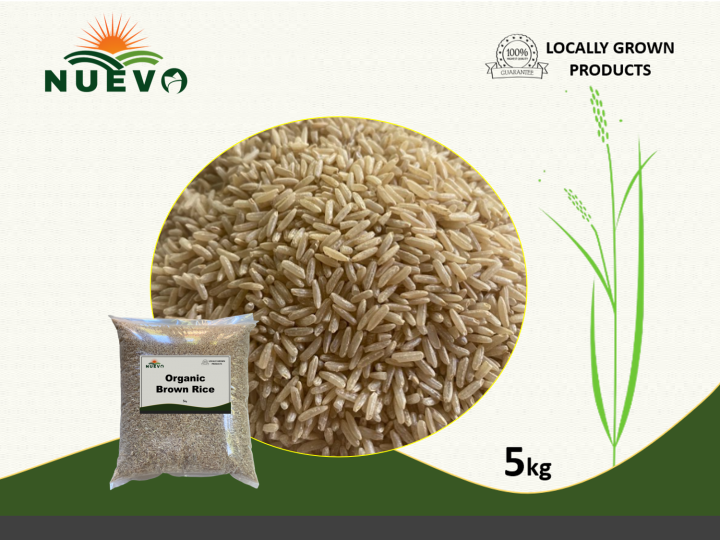 Organic Brown Rice | 5 Kg | Lazada PH