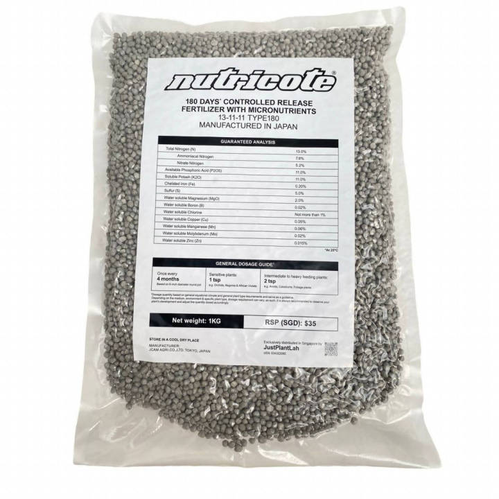 Nutricote*180 Days controlled release fertilizer with micronutrients ...