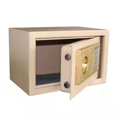 Digital Wall Safe Box Keypad Lock Steel Money Storage Box | Lazada PH