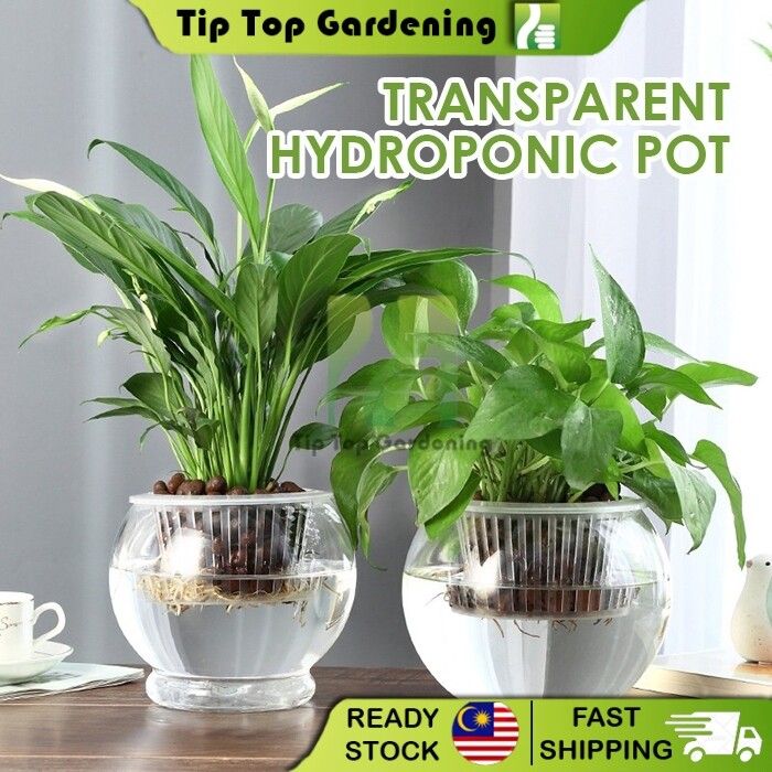 Pasu Bunga Siram Sendiri / Transparent Hydroponic Pot Self Watering ...