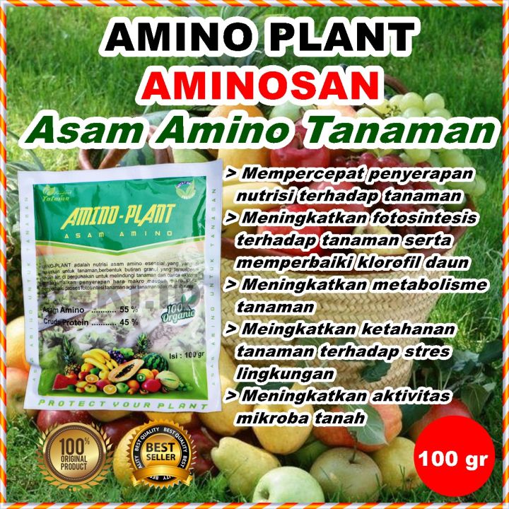 Pupuk Organik Asam Amino Plant Tanaman Buah Anggur Bunga Sayur Hias 100 ...