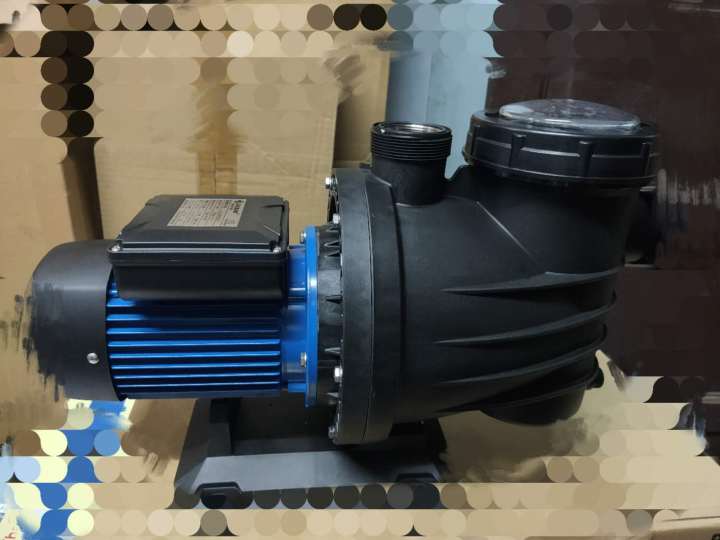 Dayuan 2HP Swimming Pool Pump DSWM SERIES High Quality | Lazada PH