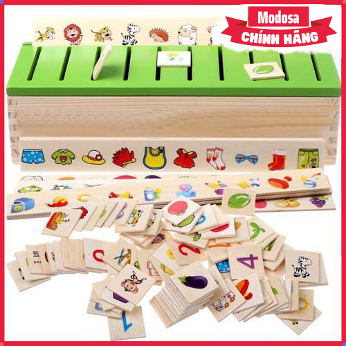 Hộp Phân Loại Nhiều Chủ Đề Modosa- Hàng Chính Hãng | Lazada.vn