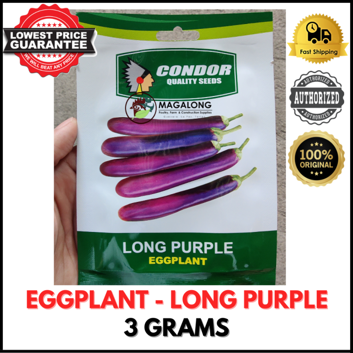 CONDOR SEEDS - EGGPLANT SEEDS - LONG PURPLE 3 Grams | Lazada PH