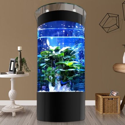 Large Aquarium Glass Fish Tank Semi Circle Living Room Ecological ...