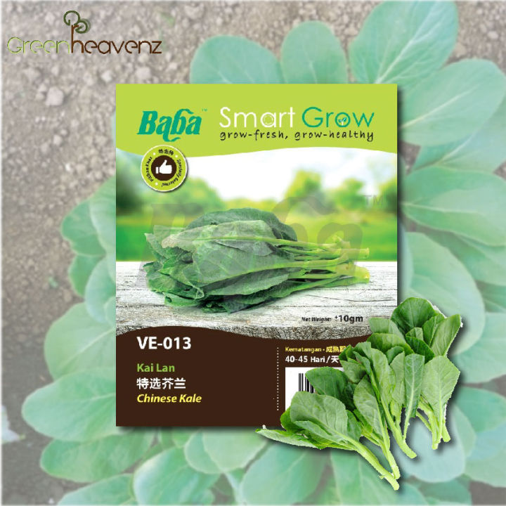 GHZ - Baba Smart Grow Seeds VE-013 Chinese Kale (Kai Lan) Vege Seed ...