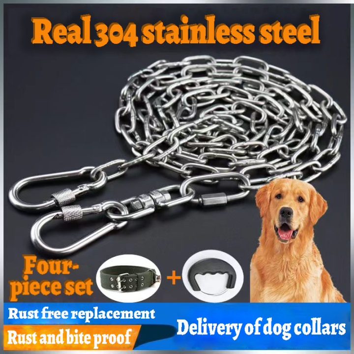304 stainless steel dog chain Small dog teddy collar Medium dog Golden ...
