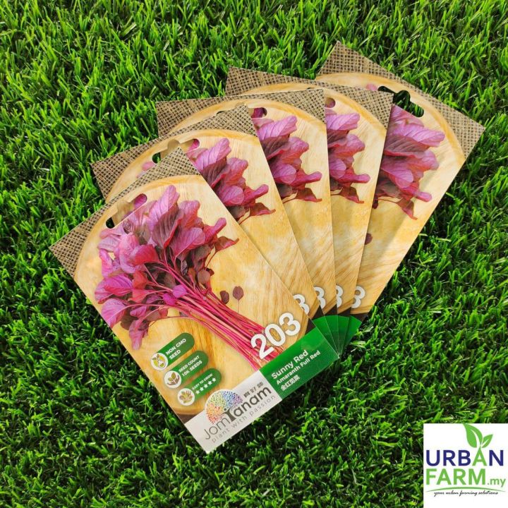 CROP POWER Jom Tanam Sunny Red Amaranth Full Red (203) 10k Seed/ Bayam ...