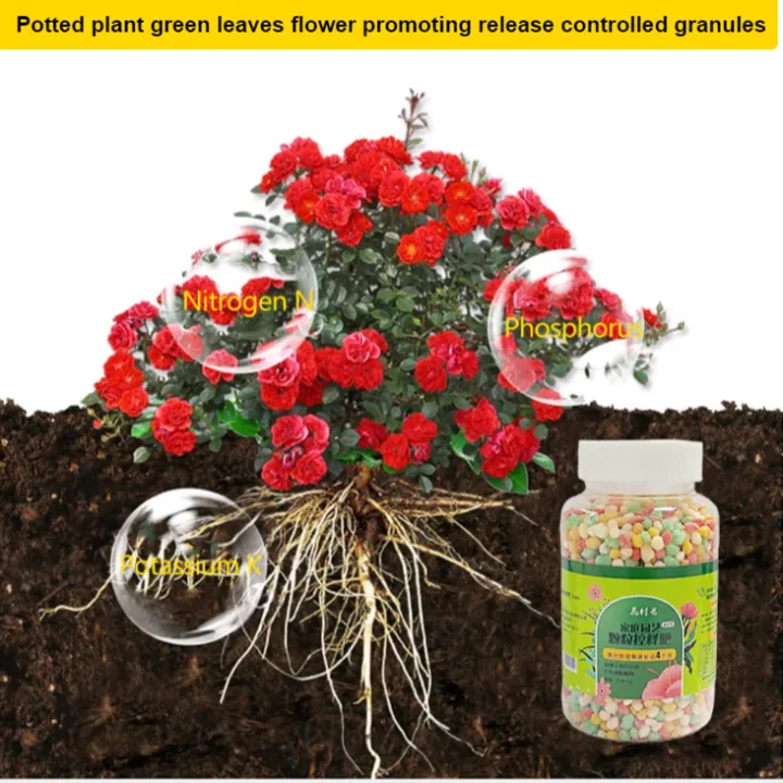H Green Leaf Flowers Universal Granular SlowRelease Fertilizer for ...