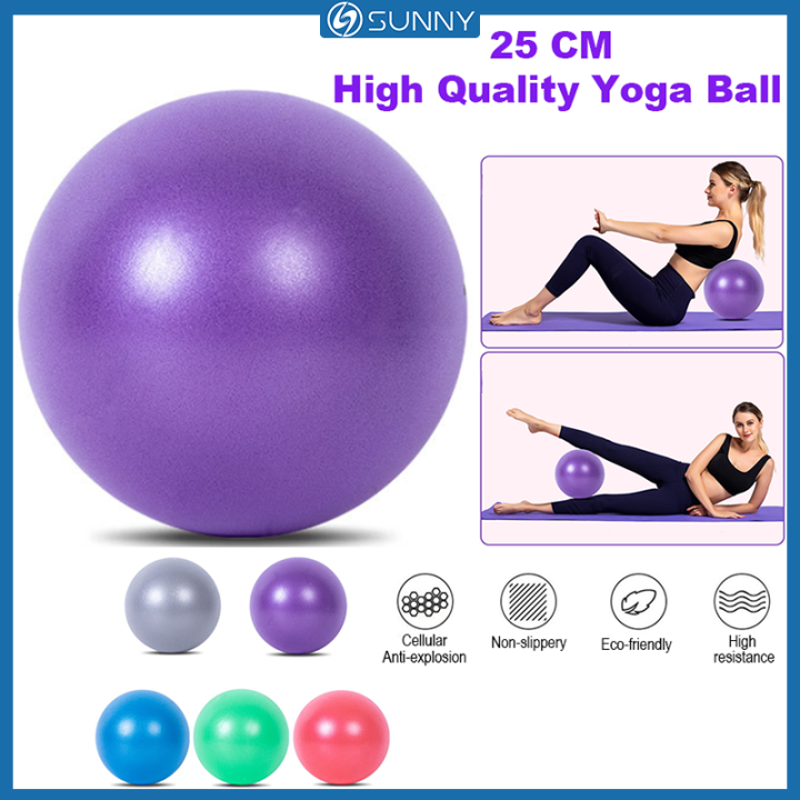 SunnyFit 25CM Yoga Ball Pilates Balance Core Ball Exercise equipment ...