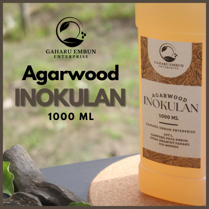 GAHARU EMBUN Inokulan Gaharu (Inoculant Agarwood) 1 LITER | Lazada