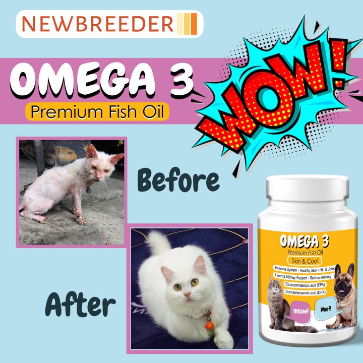 Premium Fish Oil Cats Omega 3 Fatty Acids for Heart Health | Lazada PH