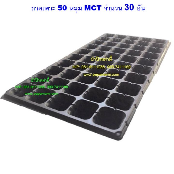 (30 แผง) papamami Nursery Tray ถาดเพาะชำ สีดำ 50หลุม MCT ถาดเพาะกล้ า ...