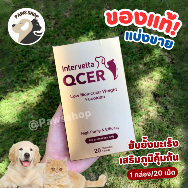 QCER [แท้💯] (คิวเซอร์) สารสกัดจากสาหร่ายทะเลลึก สำหรับสัตว์เลี้ยงที่ ...