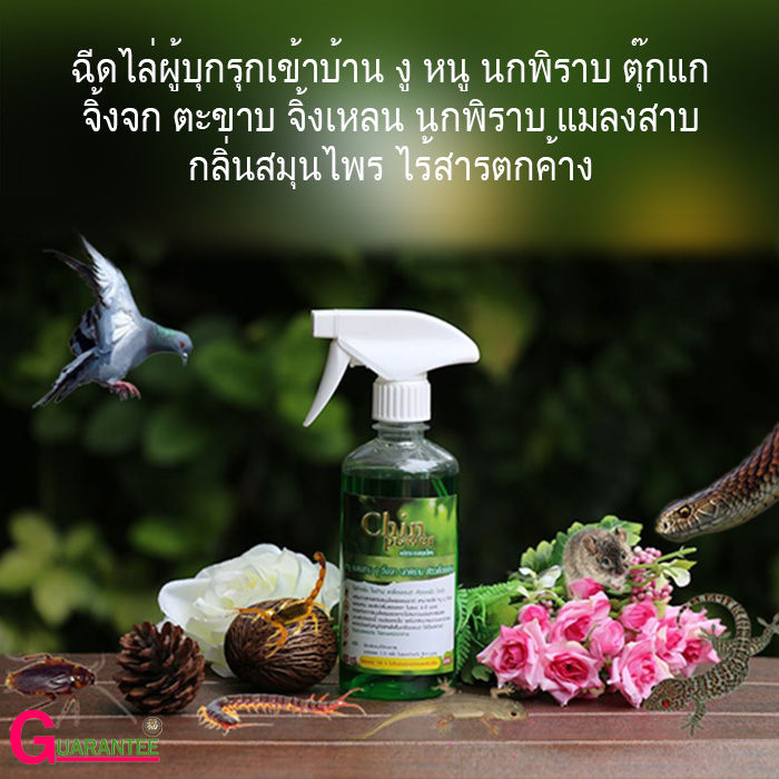 👉ส่งฟรี สเปรย์ไล่หนู Chin Power สเปรย์สมุนไพร 💚GUARANTEE 2564 สเปรย์ไล่ ...