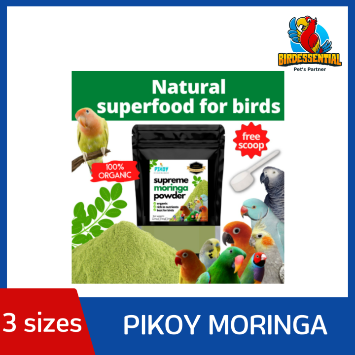 PIKOY Moringa / Malunggay Powder for Birds and Parrots, Organic All ...