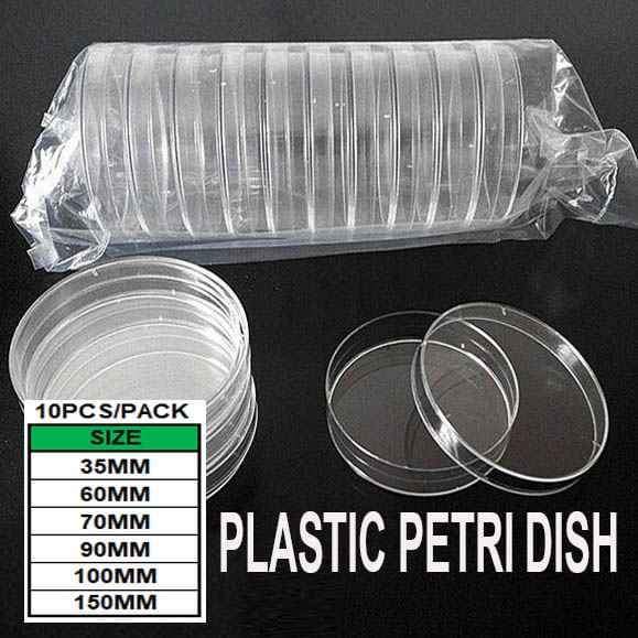 PLASTIC PETRI DISH (10PCS/PACK) | Lazada PH