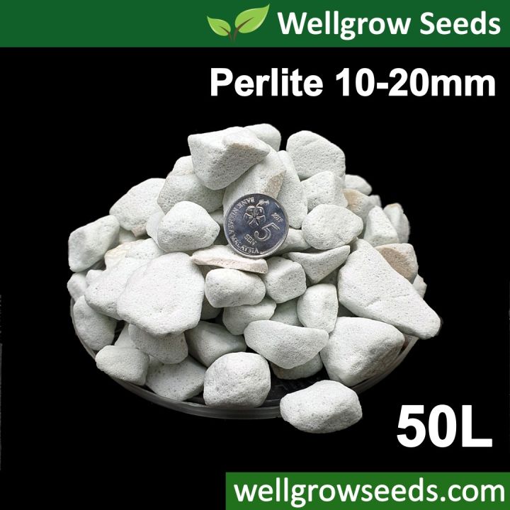 Perlite Large (10-20mm) (For Aroids soil mix, adenium soil mix ...