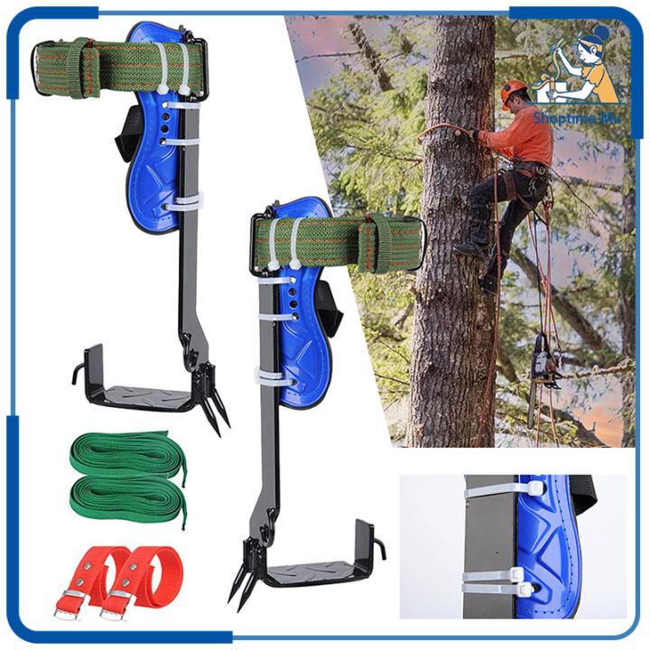 Alat Panjat Pohon Kelapa Alat Pemanjat Pohon Dengan Sabuk Pengaman Tree ...