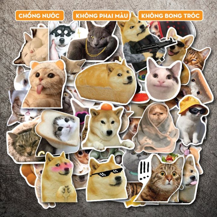Combo Sticker Meme chống nước sticker dán laptop, điện thoại, đàn ...