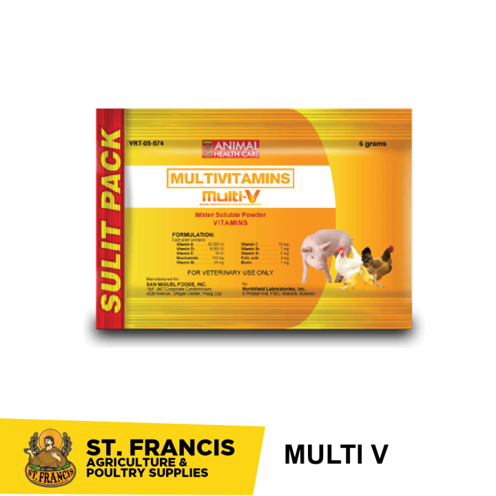 MULTI-V BY BMEG 6G | Lazada PH