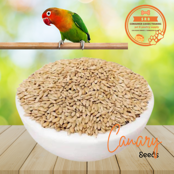 CANARY SEEDS PLAIN 1KG REPACKED PRODUCT OF AUSTRALIA ( BIRD SEEDS ...