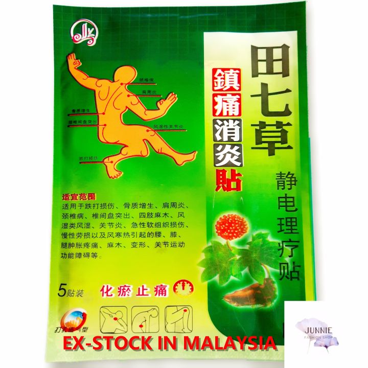 Tian Qi Notoginseng Analgesic high Anti-Inflammatory Plaster PAIN ...