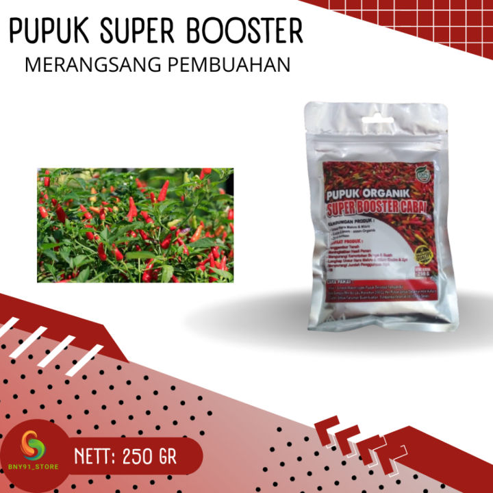 Pupuk super booster cabe rawit perangsang pembuahan dan pembungaan pada ...