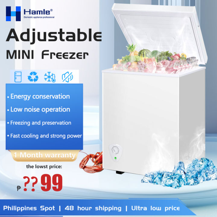 Hamle Freezer Inverter Chest Freezer Cooler Refrigerator Freezer ...