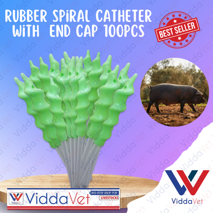 100 PCS Viddavet Pig AI supplies Pig Spiral Catheter with end cap ...