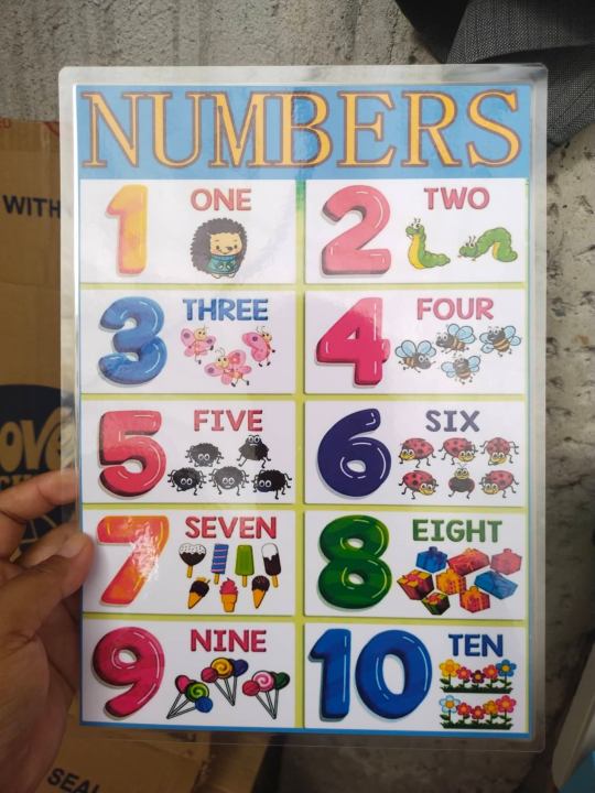 NUMBER CHART 1-10 LAMINATED (A4 SIZE, PHOTOPAPER) | Lazada PH