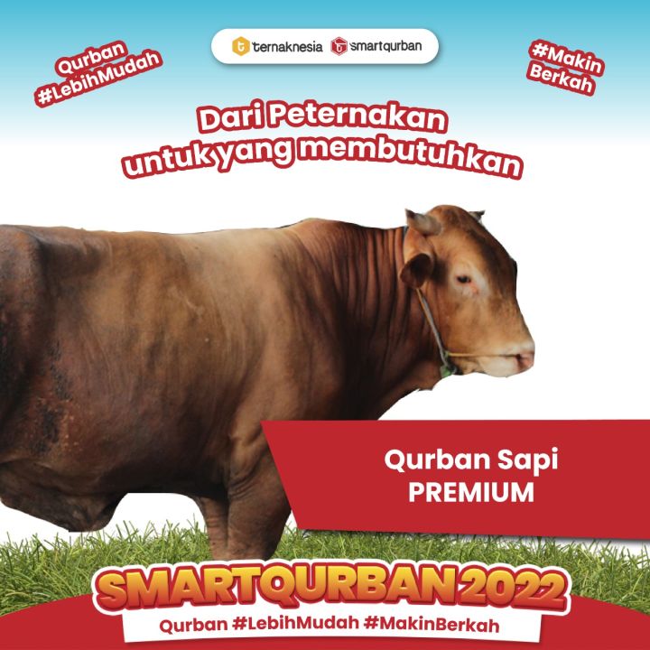 Qurban Sapi PREMIUM TERNAKNESIA | Lazada Indonesia
