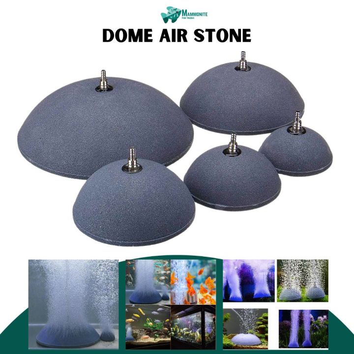Dome Air Stone Aquarium Oxygen Aerator Stone | Lazada PH