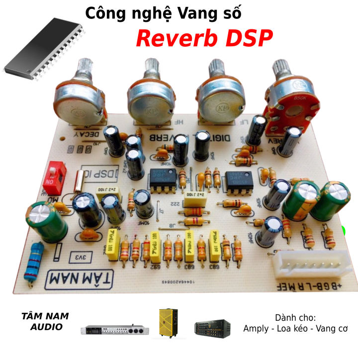 Bo Mạch Reverb DSP cho Amply Karaoke | Lazada.vn