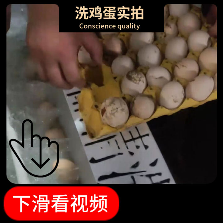 Automatic egg washer Small commercial brush egg duck egg washer New egg ...