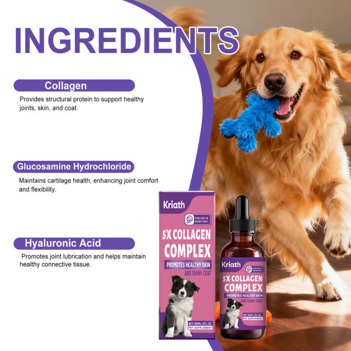 5X Collagen Liquid Drops 60ml for Dogs Skin and Coat Health Joint ...