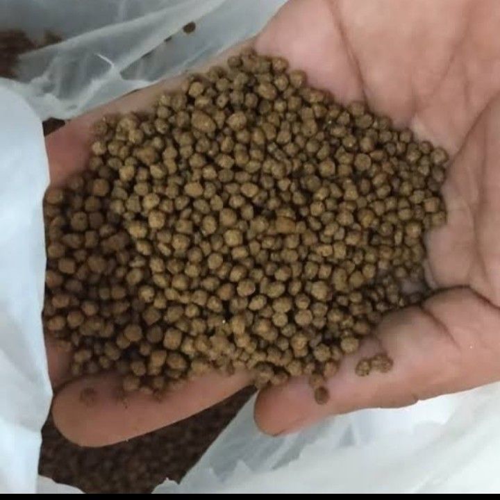 Pakan Ikan Lele Gurame Nila Hi-Pro-Vite 781-3 kemasan Repack 1 Kg - 3 mm | Lazada Indonesia