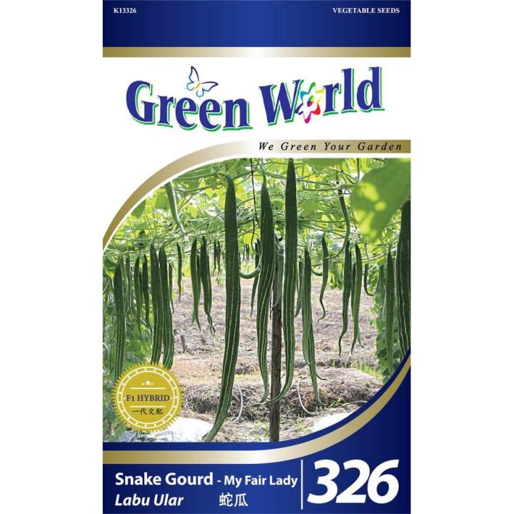 326 SNAKE GOURD - MY FAIR LADY | Lazada