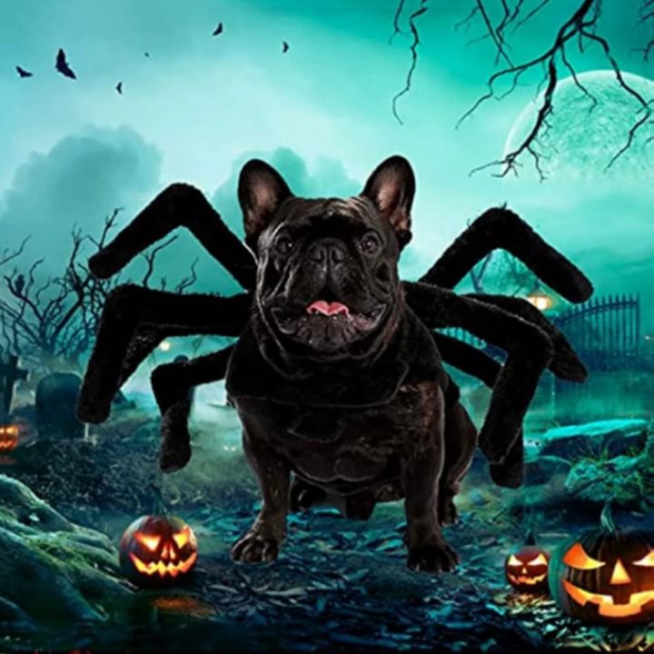 PUREGLOW Black Dog Halloween Spider Costume Simulation Soft Dog Cosplay ...