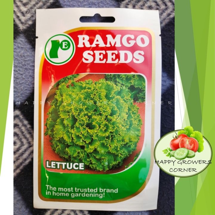 LETTUCE LEAFY LOLLO BIONDA (3 GRAMS) RAMGO SEEDS | Lazada PH
