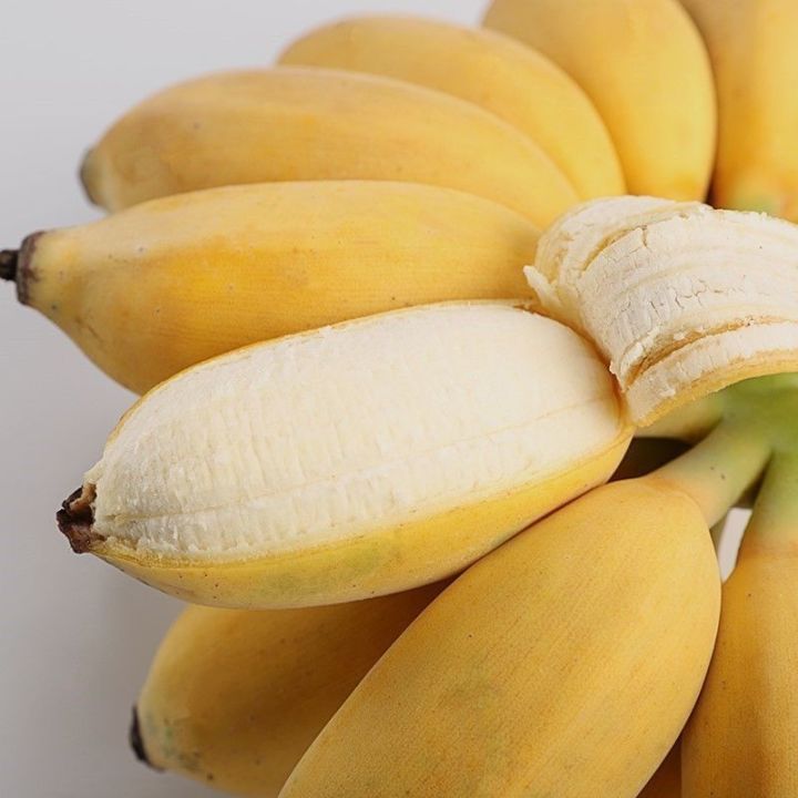 Guangxi apple banana fresh 9 kg fcl seasonal fruit banana banana millet ...
