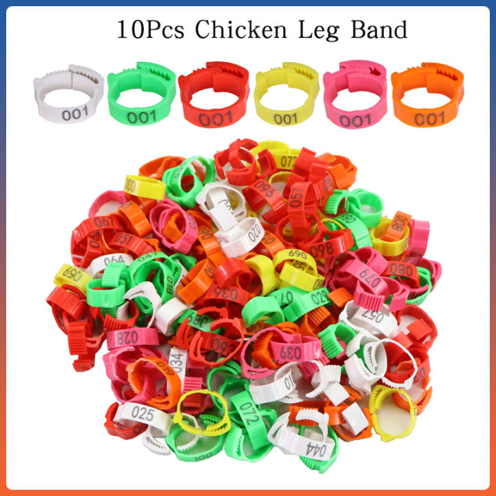 10Pcs/25Pcs Chicken Ring Adjustable Chicken Leg Band for Gamefowl ...