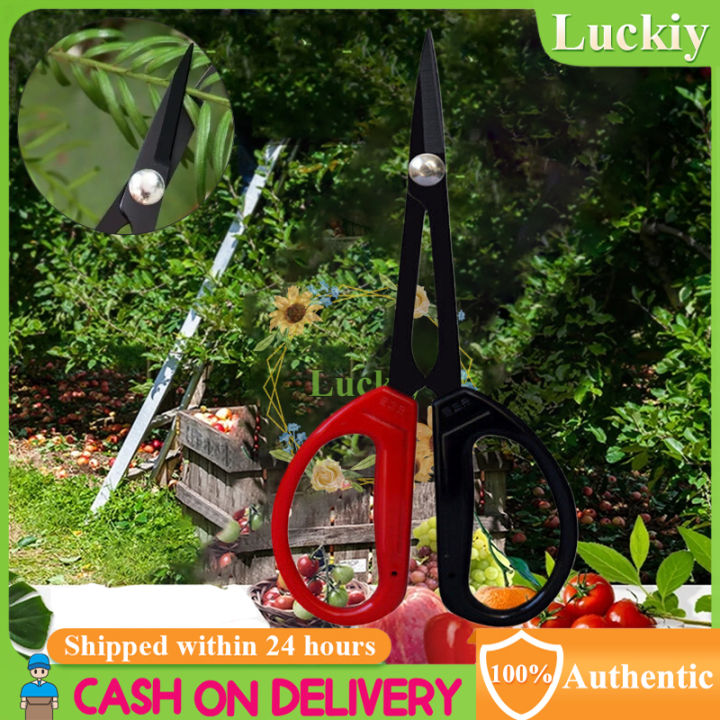 Gardening long-handled branch cut scissors Stainless steel grape ...