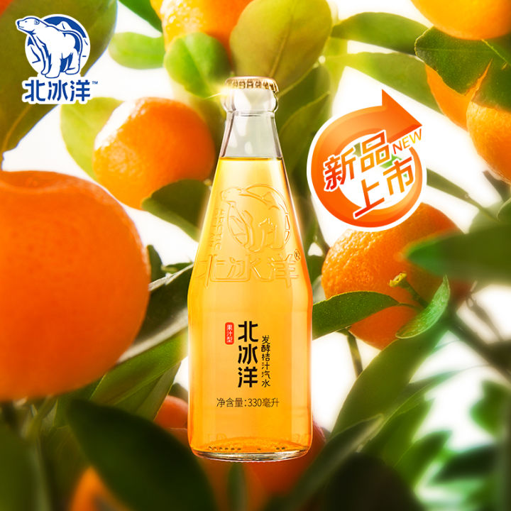 Arctic Ocean Fermented Orange Juice Soda Probiotics Fermented Fruit ...