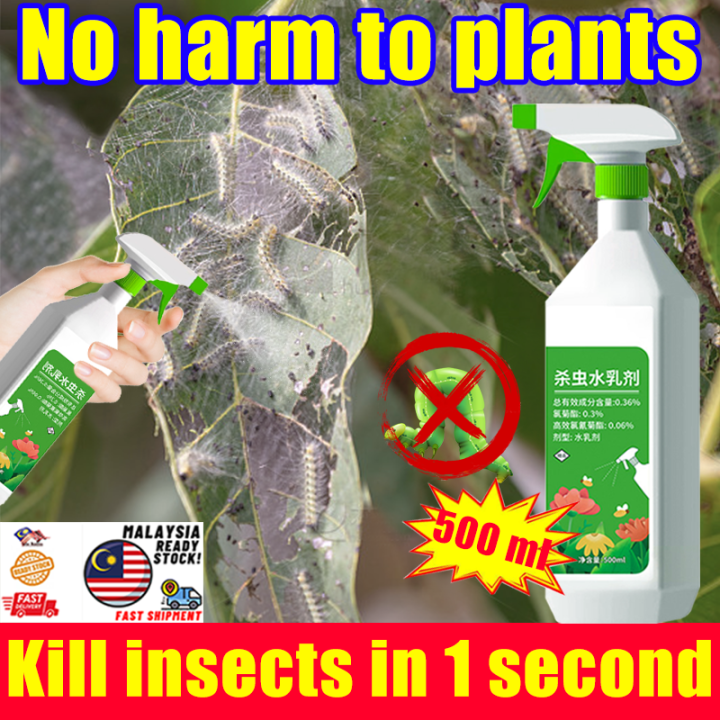 Kill insects in 1second Pesticides For Plants No harm to plants Ubat ...