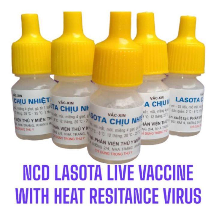 tyincd lasota with heat resistance oral use drops sold per pcs | Lazada PH